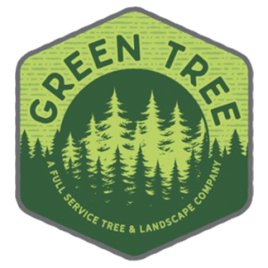 Green Tree – Columbus, OH